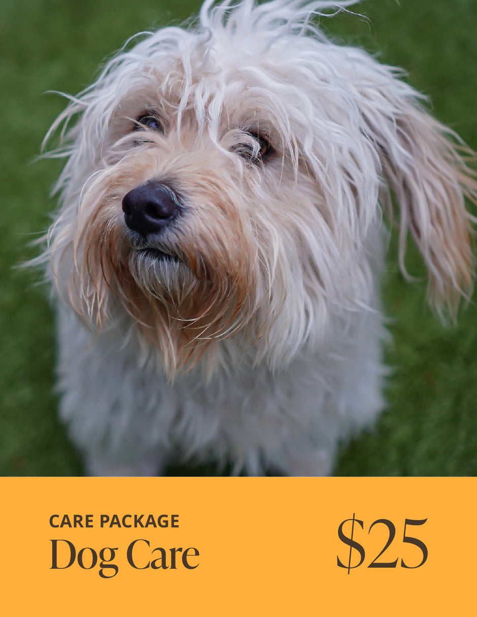 Seattle Humane Store