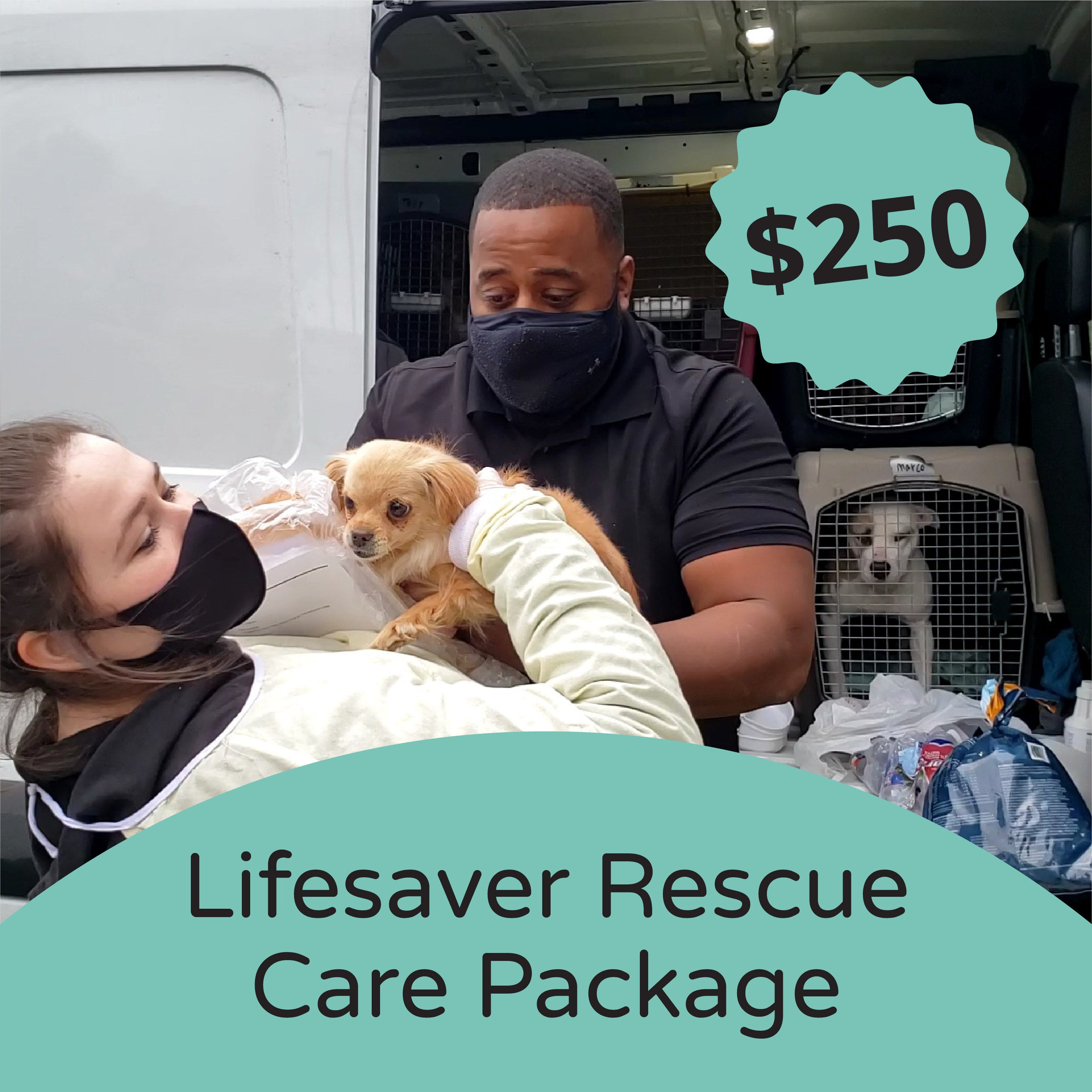 Lifesaver Rescue Care Package – Seattle Humane Store